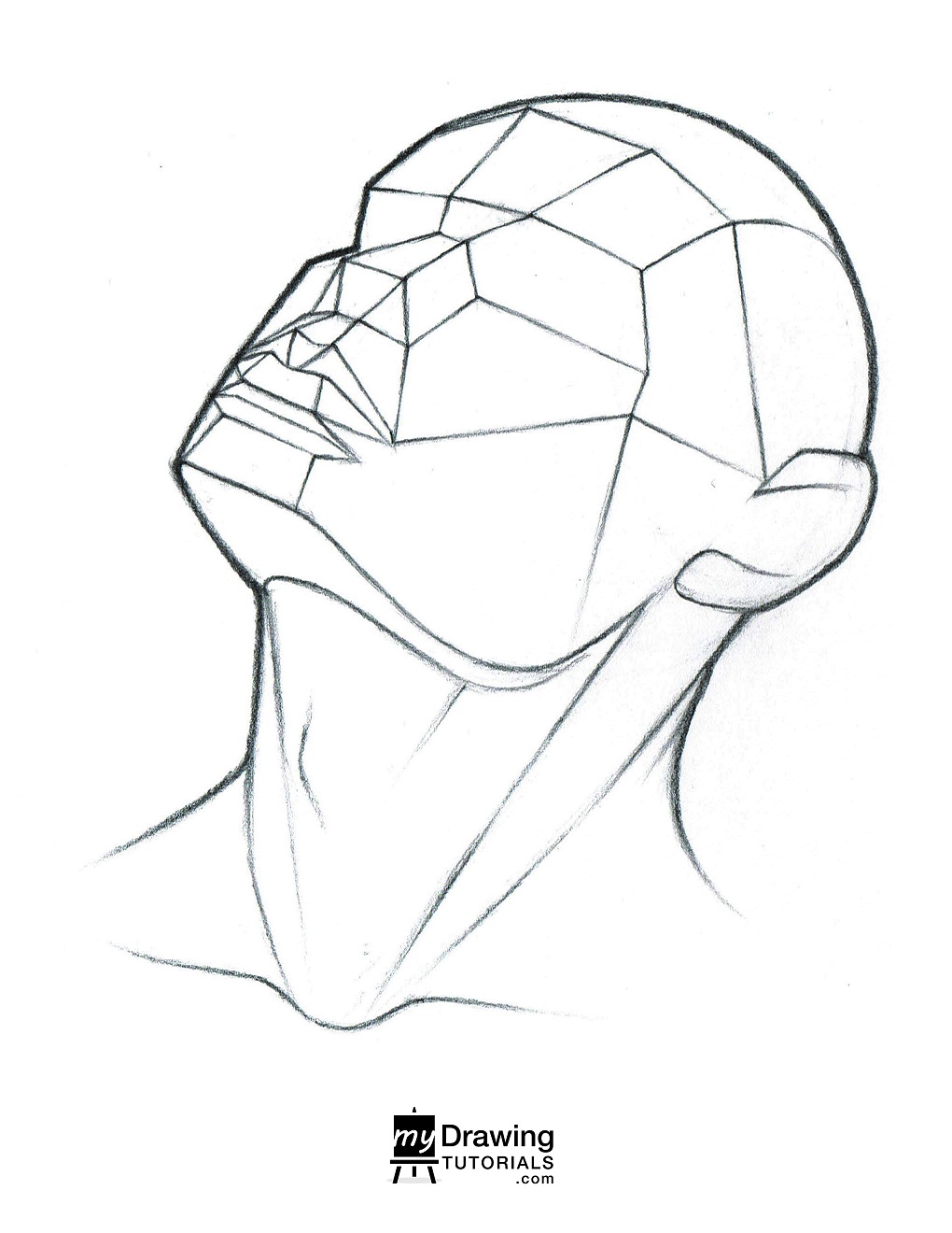 Course Assets – Portrait Fundamentals Made Simple | My Drawing Tutorials